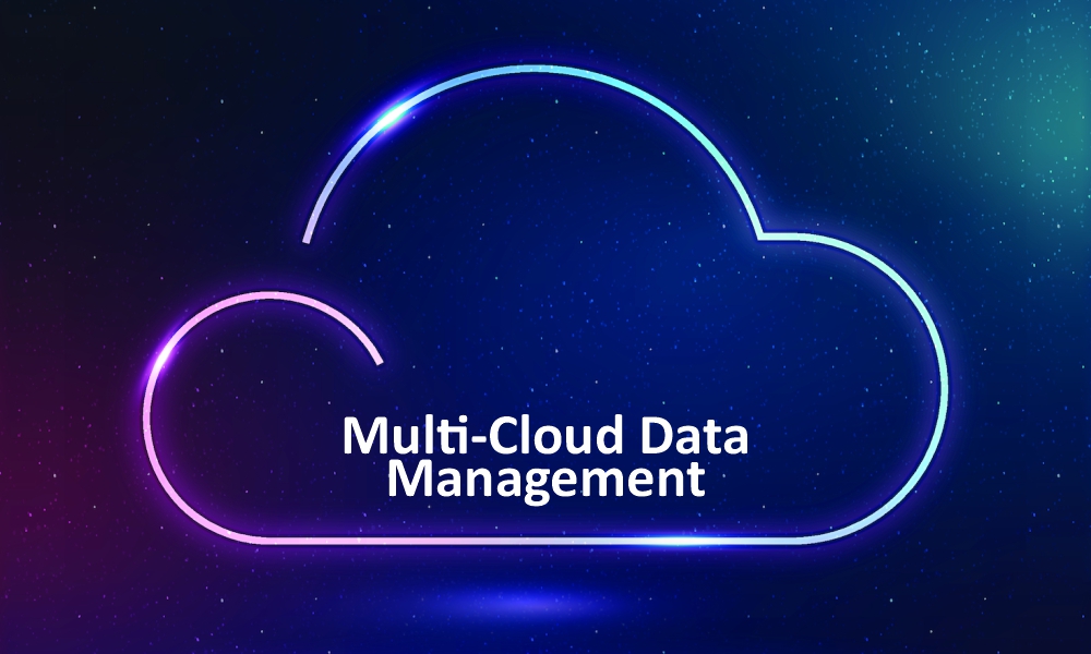 Explore the Best Multi-cloud Data Management Practices