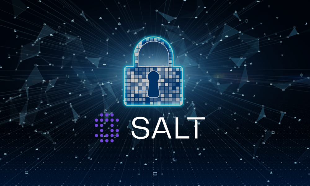 Salt Security Leads API Market With Year of Innovation